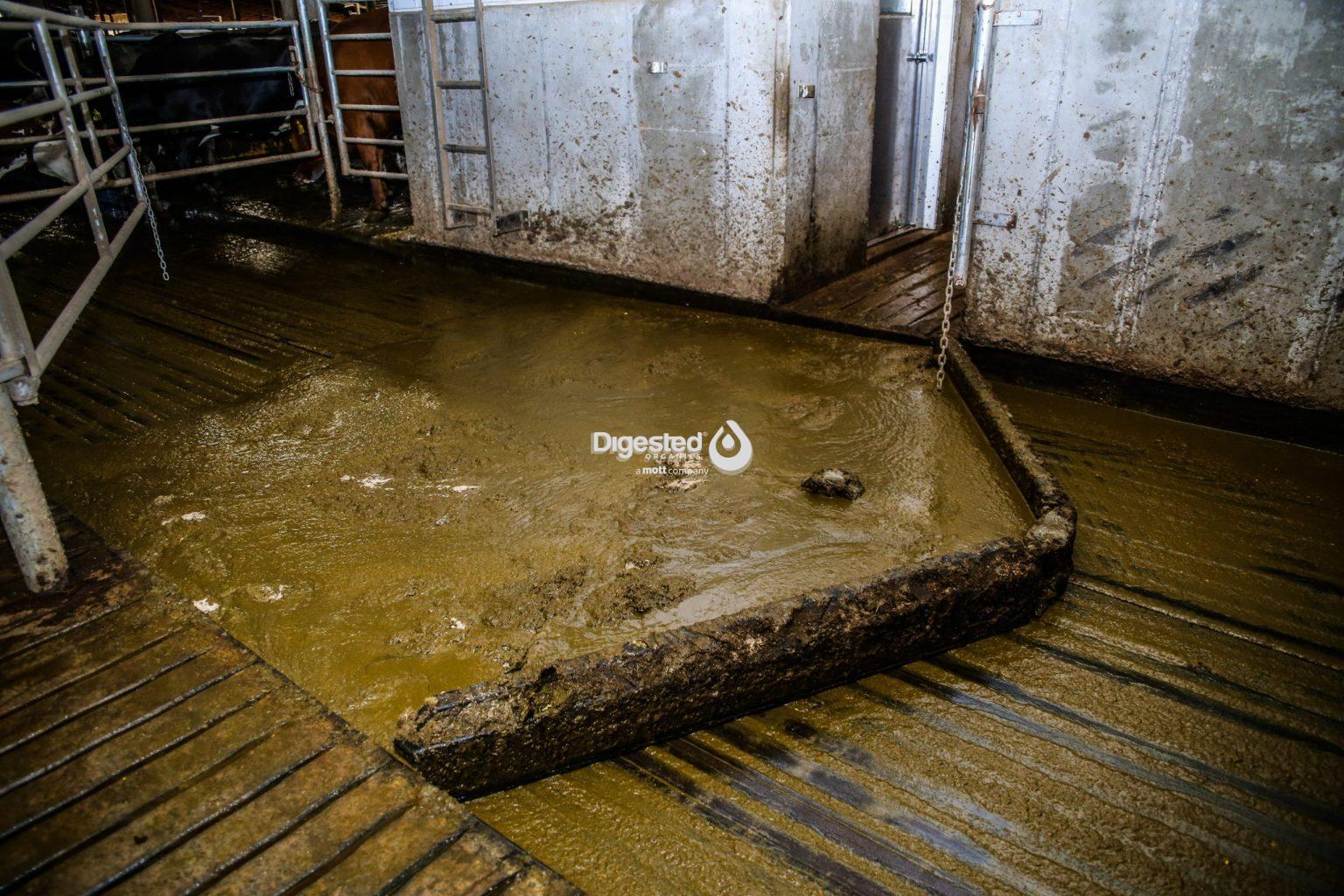 Food Waste Digestate Treatment - Digested Organics